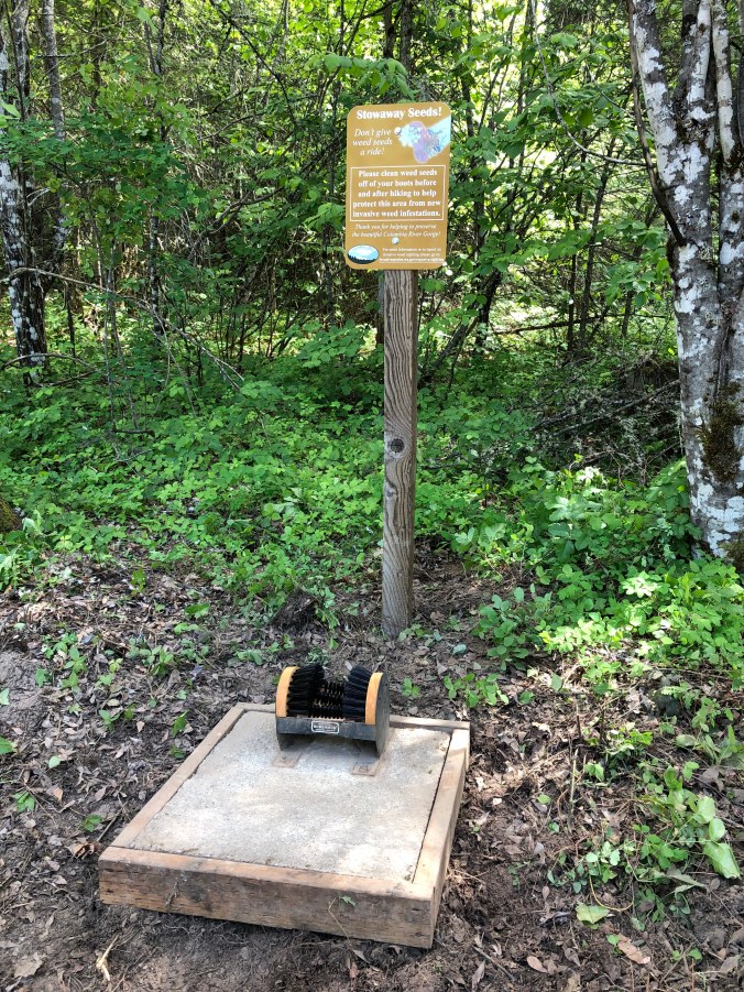 Clean Your Boots to Protect the Columbia Gorge | Columbia Gorge